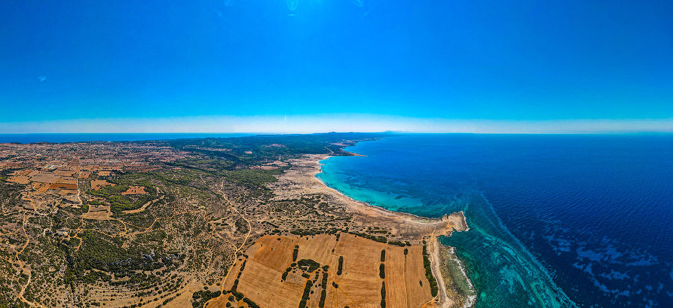How to Watch Turtles in North Cyprus: A Guide for Nature Lovers | Cyprusify